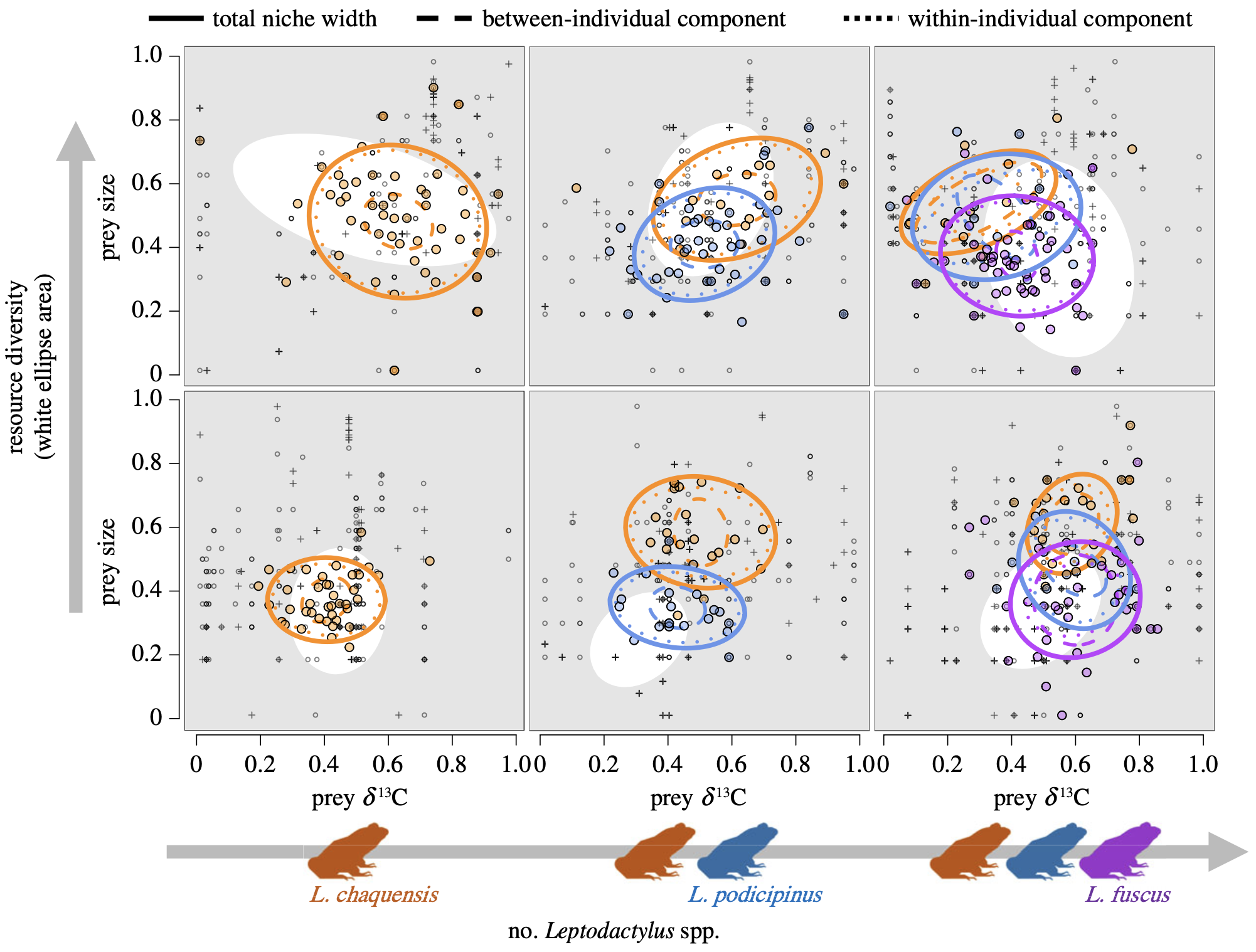 Research – Intraspecific diversity